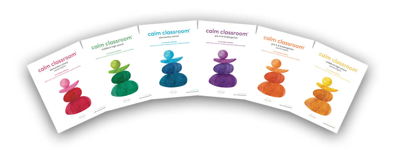 Mindfulness Professional Development Training | Calm Classroom
